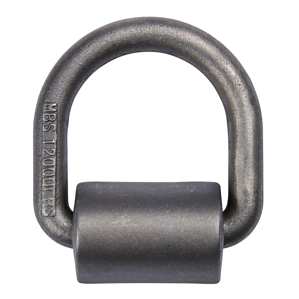 Surface Mount D-Ring Anchor Point (MPN: 89317) – Sprinter Parts Depot