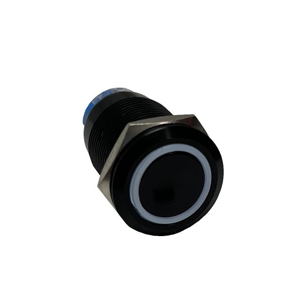 Multi Function Switch with Momentary Push Button (MPN: RSMB19MMW ...