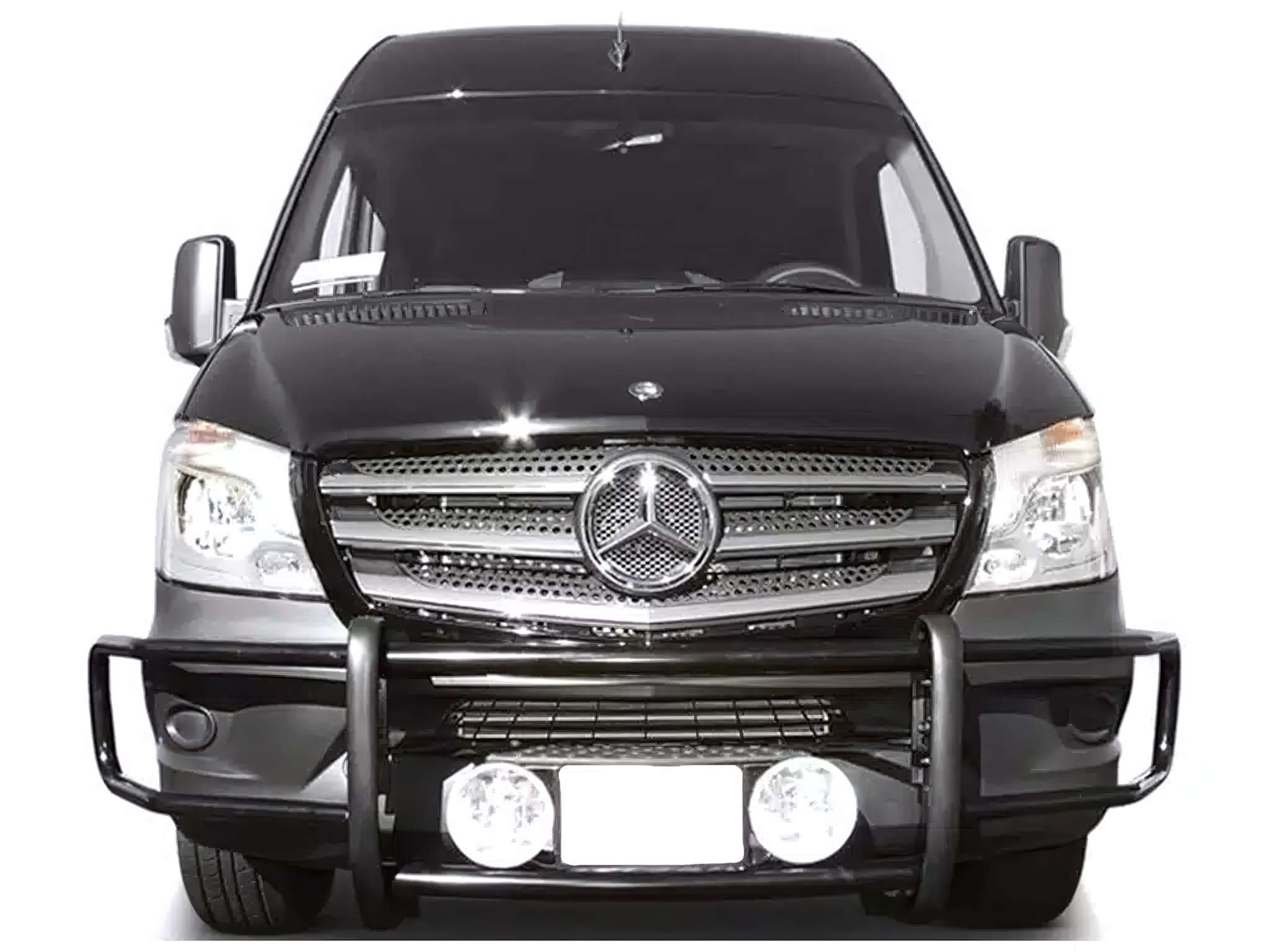 Black Horse Spartan Grille Guard for Sprinter 2007-Current – Sprinter ...