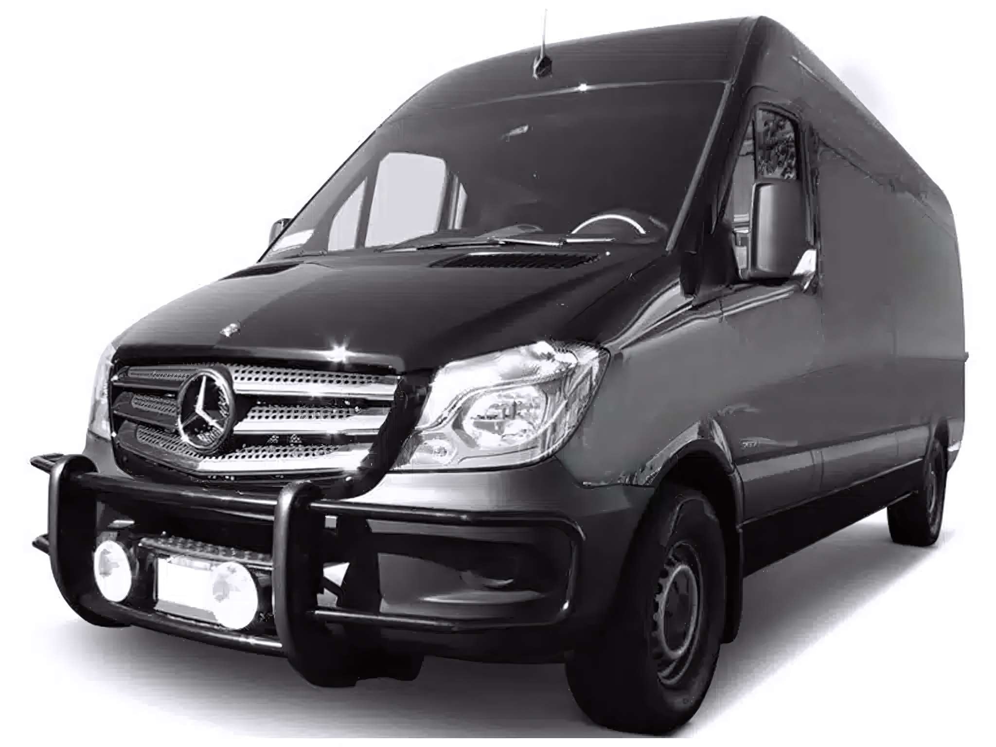 Black Horse Spartan Grille Guard for Sprinter 2007-Current – Sprinter ...